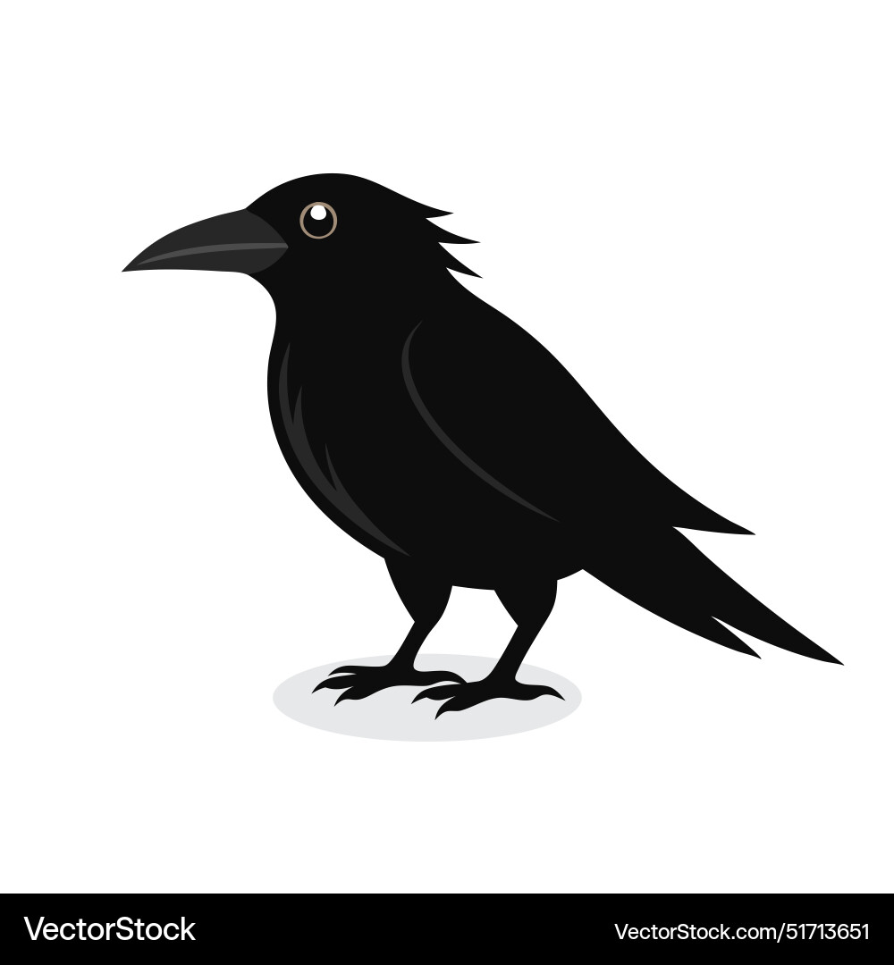 Crow animal isolated flat on white background Vector Image