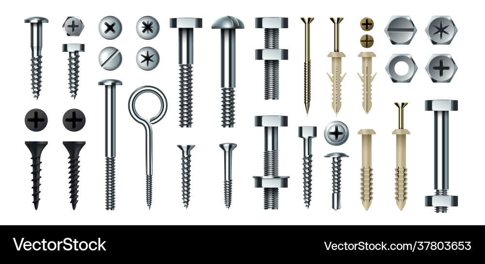 Bolt and screw realistic metal fasteners Vector Image