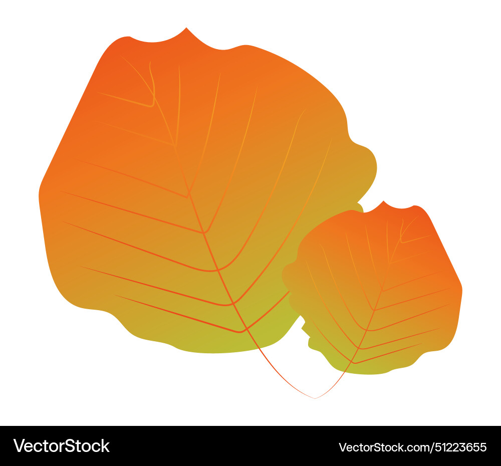 Autumn rounded leaves in flat design orange Vector Image