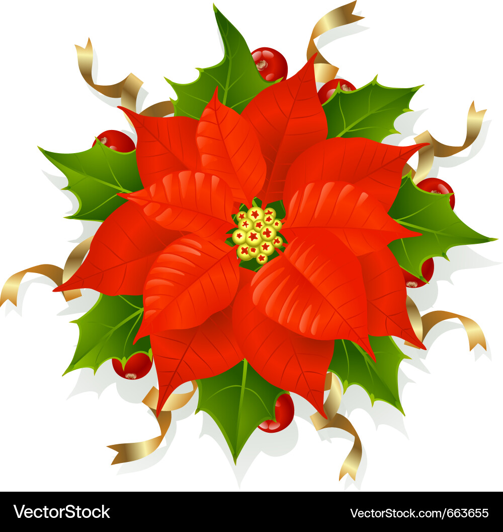 Christmas flower Royalty Free Vector Image - VectorStock