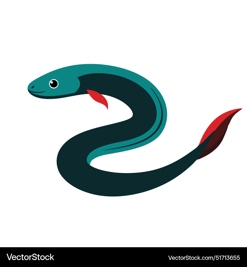 Eel animal isolated flat on white background Vector Image
