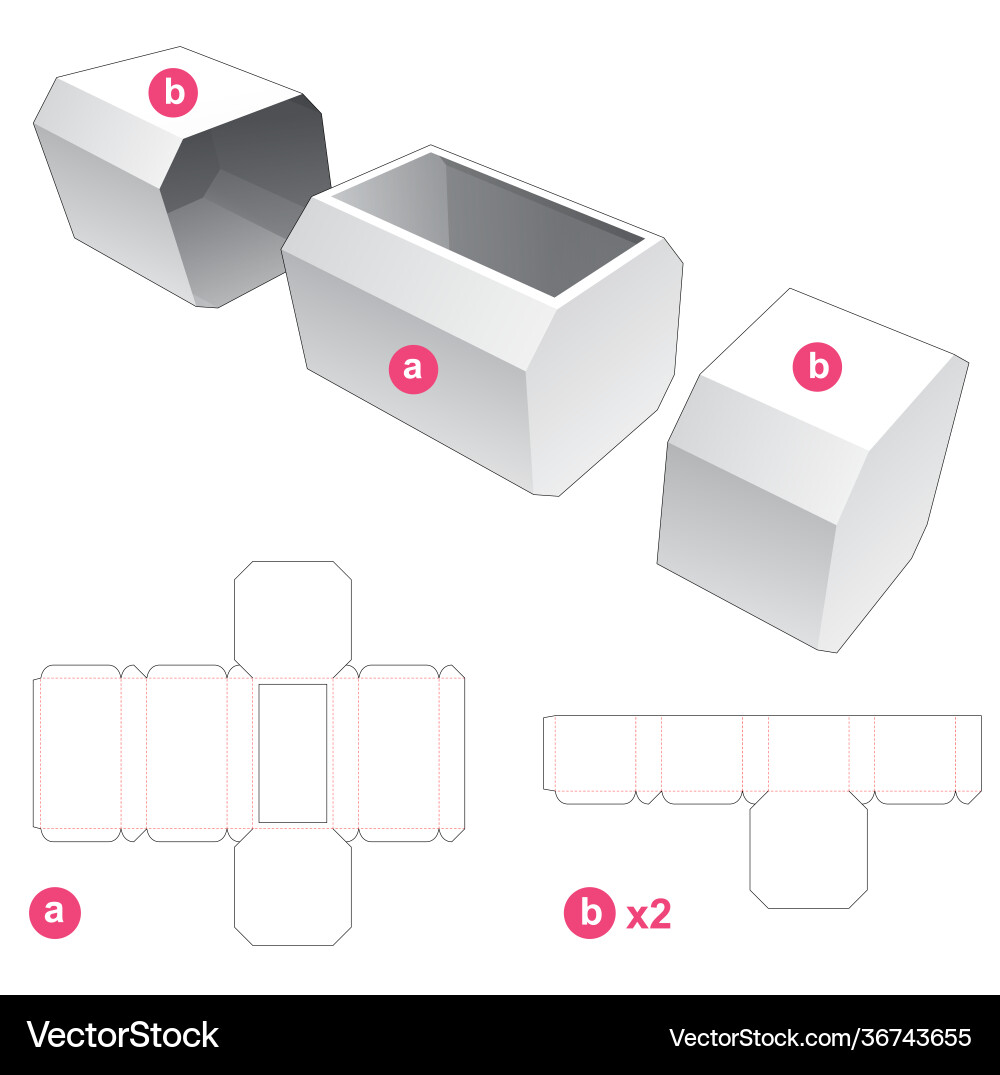Octagonal box and 2 covers die cut template Vector Image