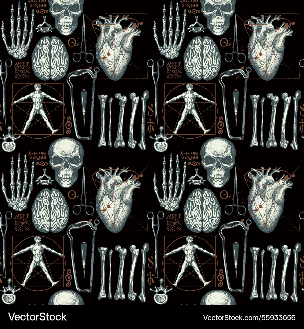 Anatomy seamless pattern Royalty Free Vector Image