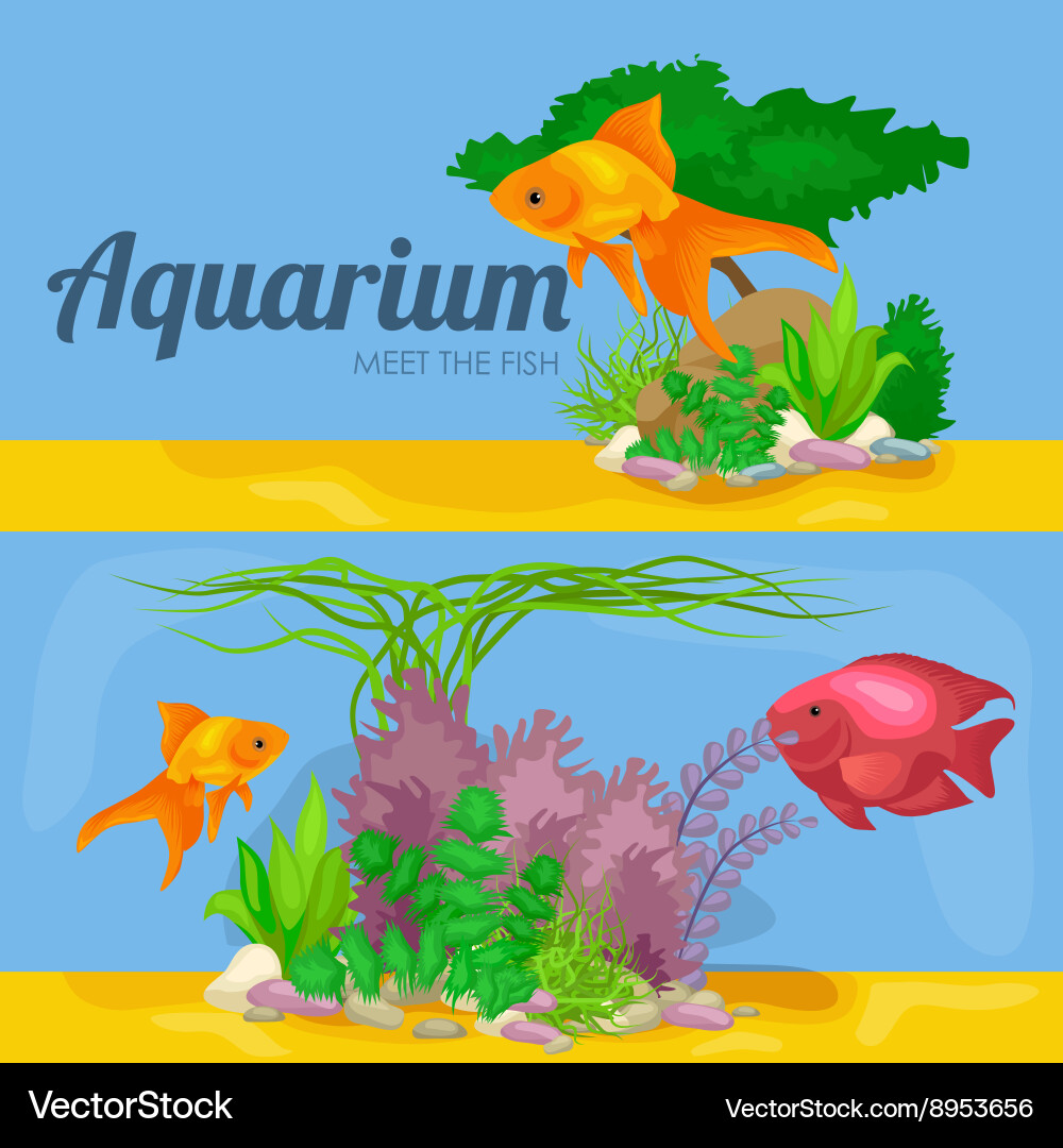Aquarium fish seaweed underwater banner template Vector Image