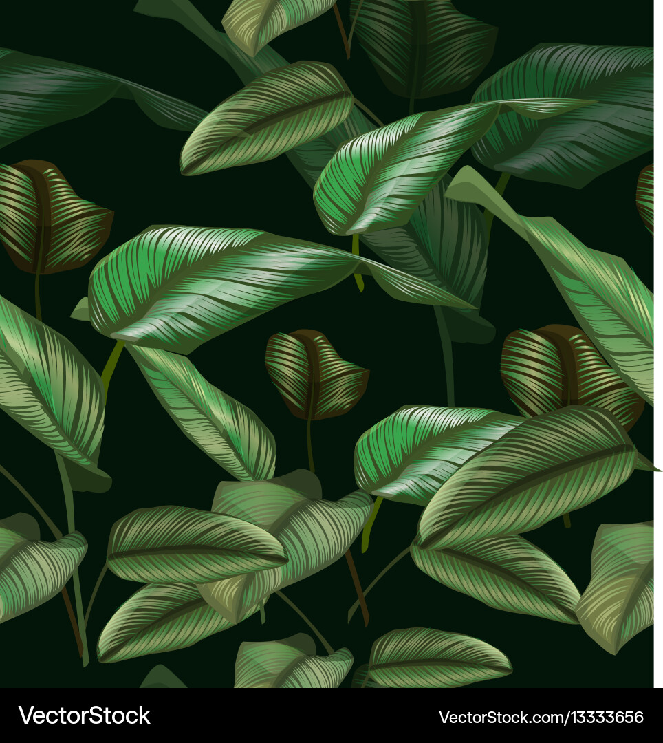 Calathea Majestica Leaf Pattern Royalty Free Vector Image