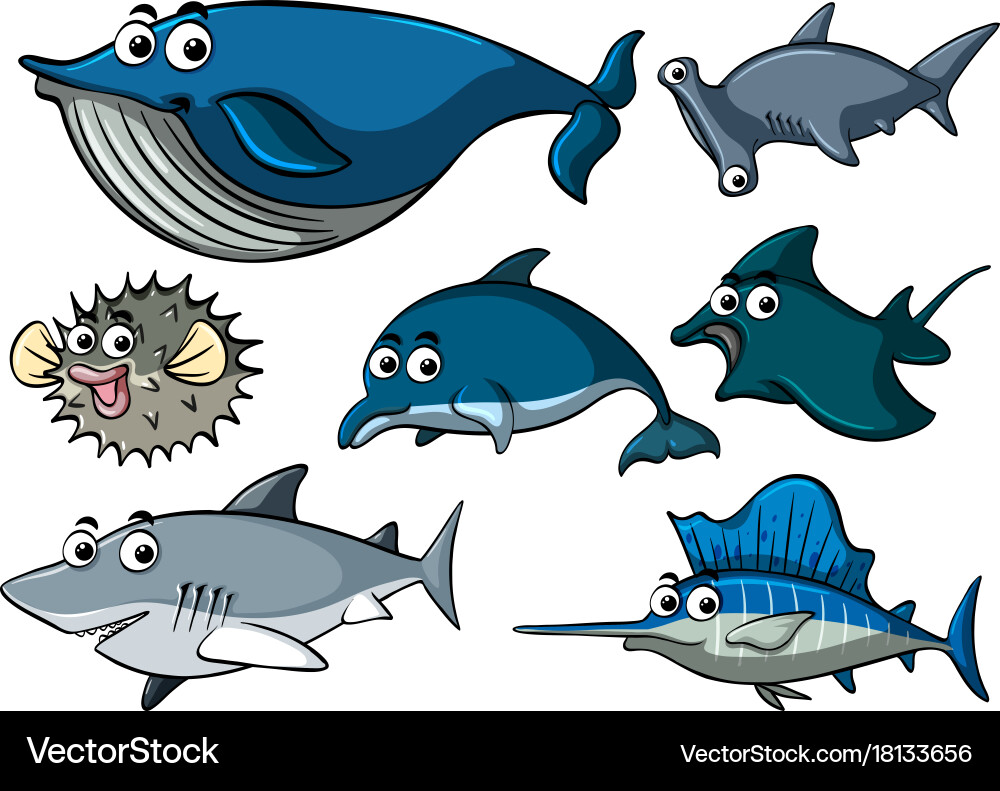 Different types of sharks Royalty Free Vector Image