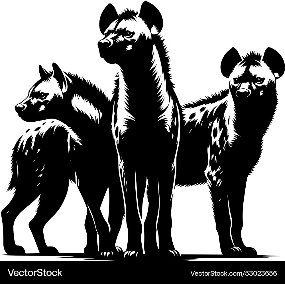 Hyena group silhouette isolated on white Vector Image