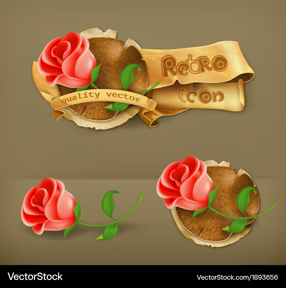 Red rose Royalty Free Vector Image - VectorStock