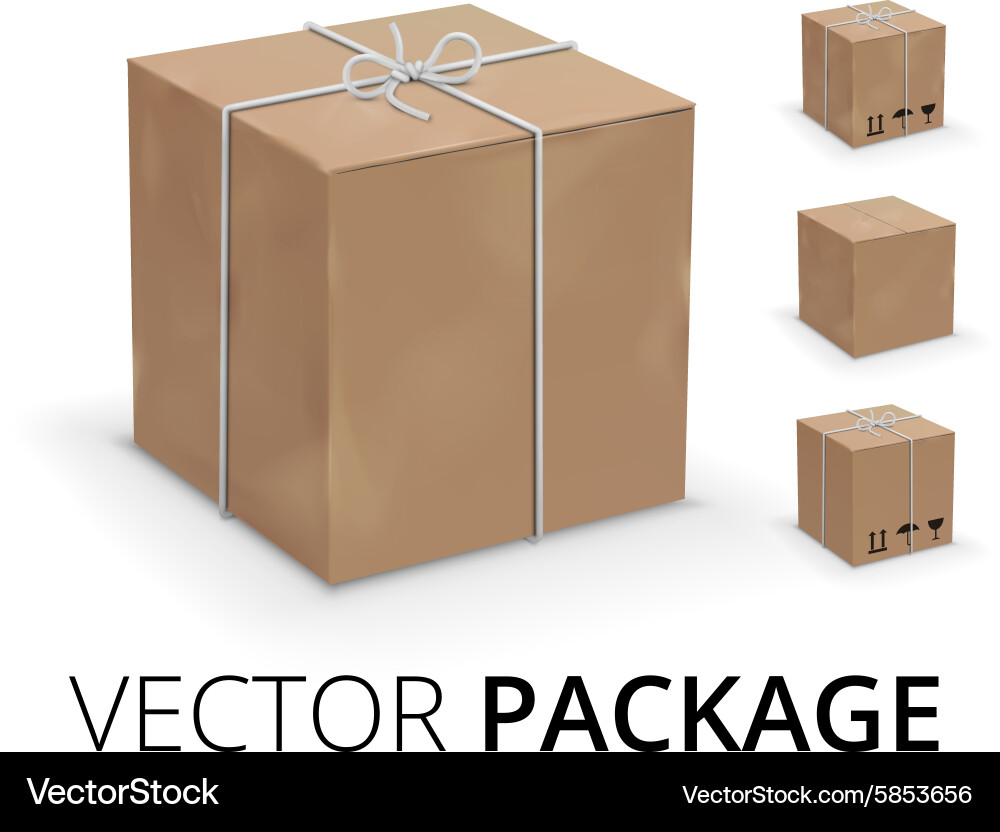 Wraped box Royalty Free Vector Image - VectorStock