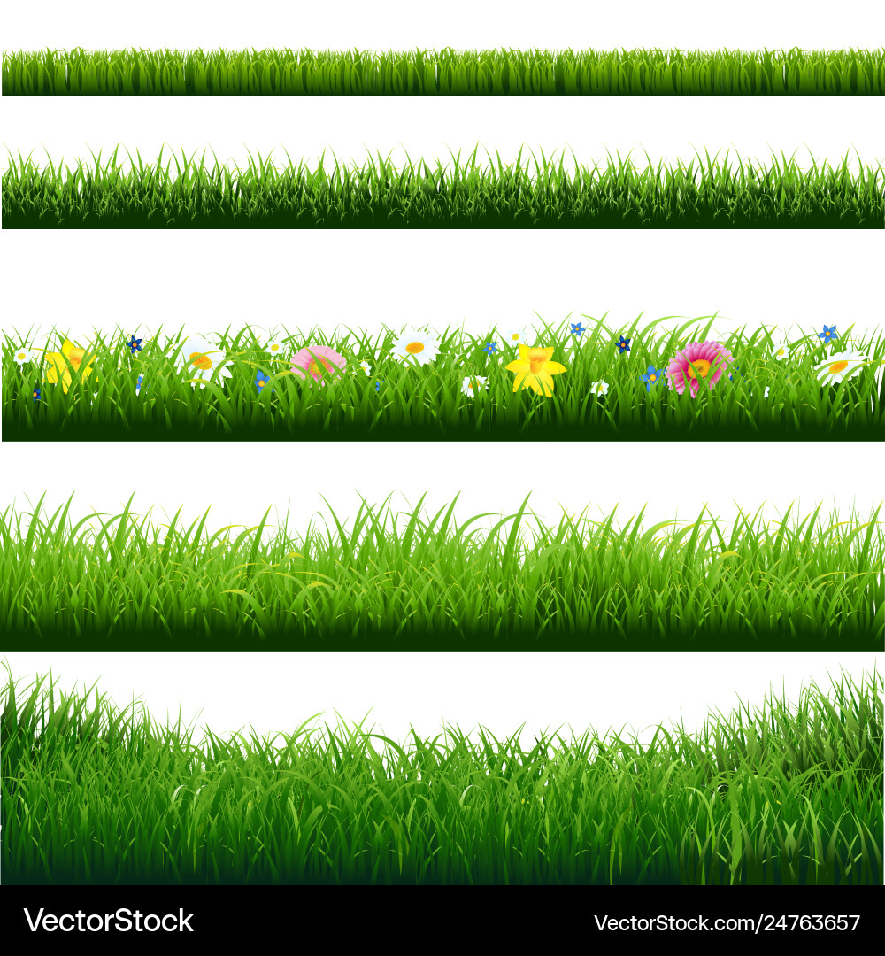 Grass borders set Royalty Free Vector Image - VectorStock