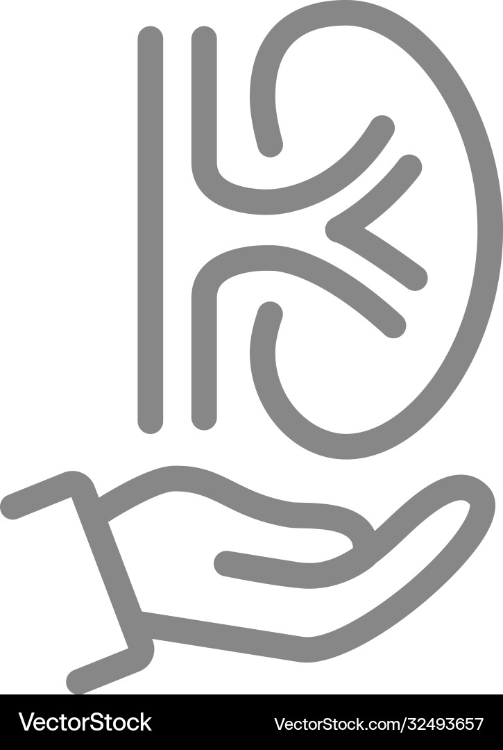 Human Kidney Rescue Treatment Icon Royalty Free Vector Image