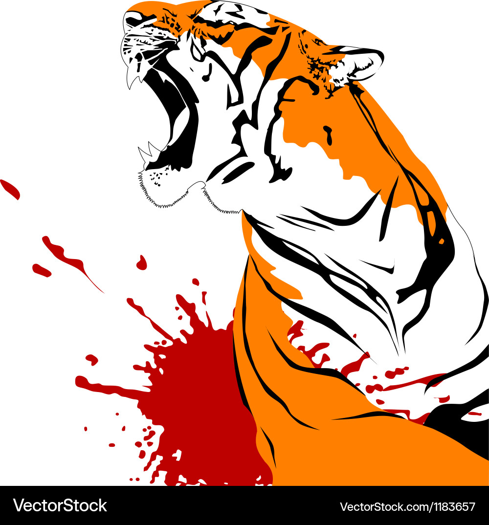 Injured Tiger - Close-Up Royalty Free Vector Image