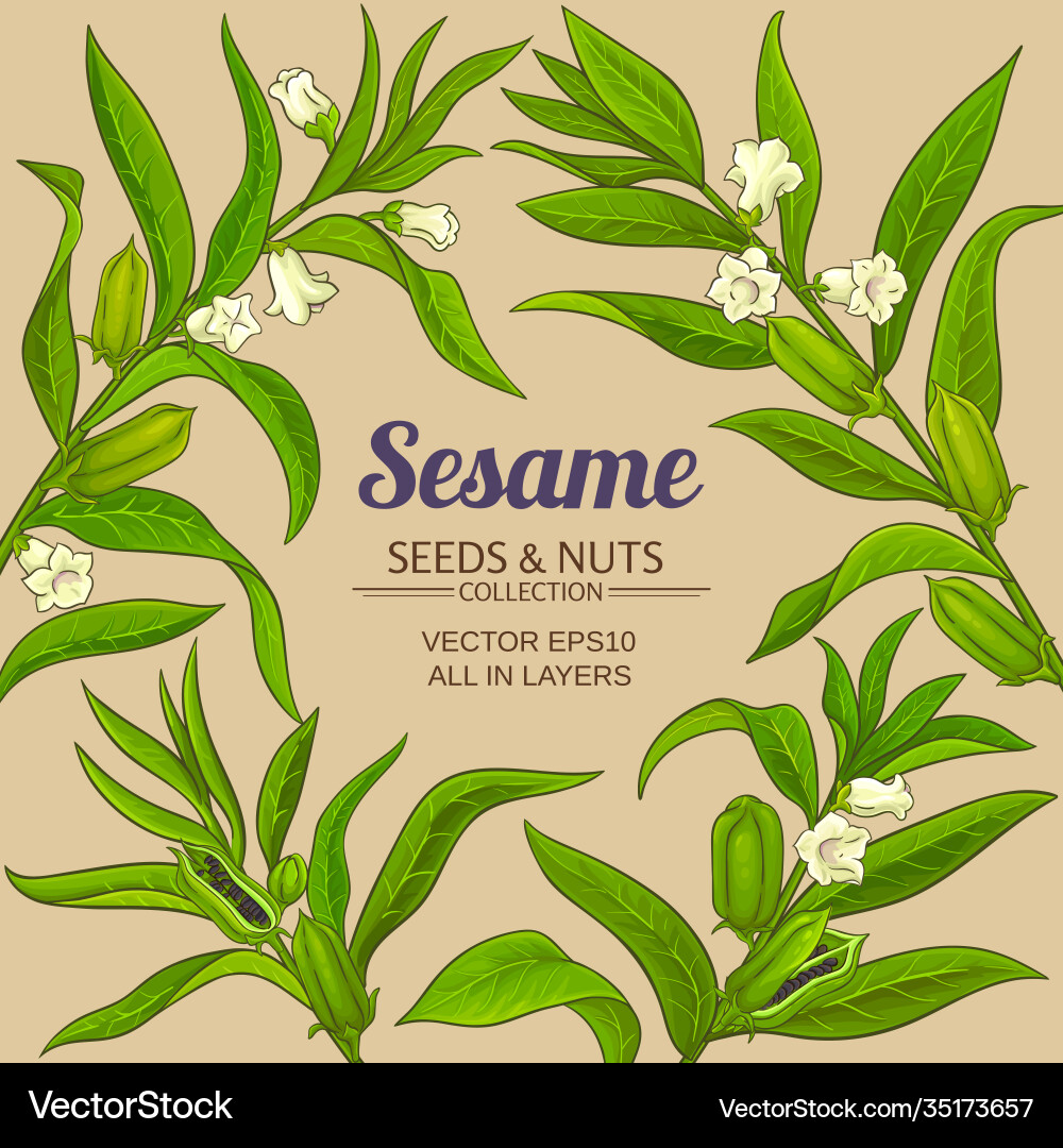 Sesame frame Royalty Free Vector Image - VectorStock