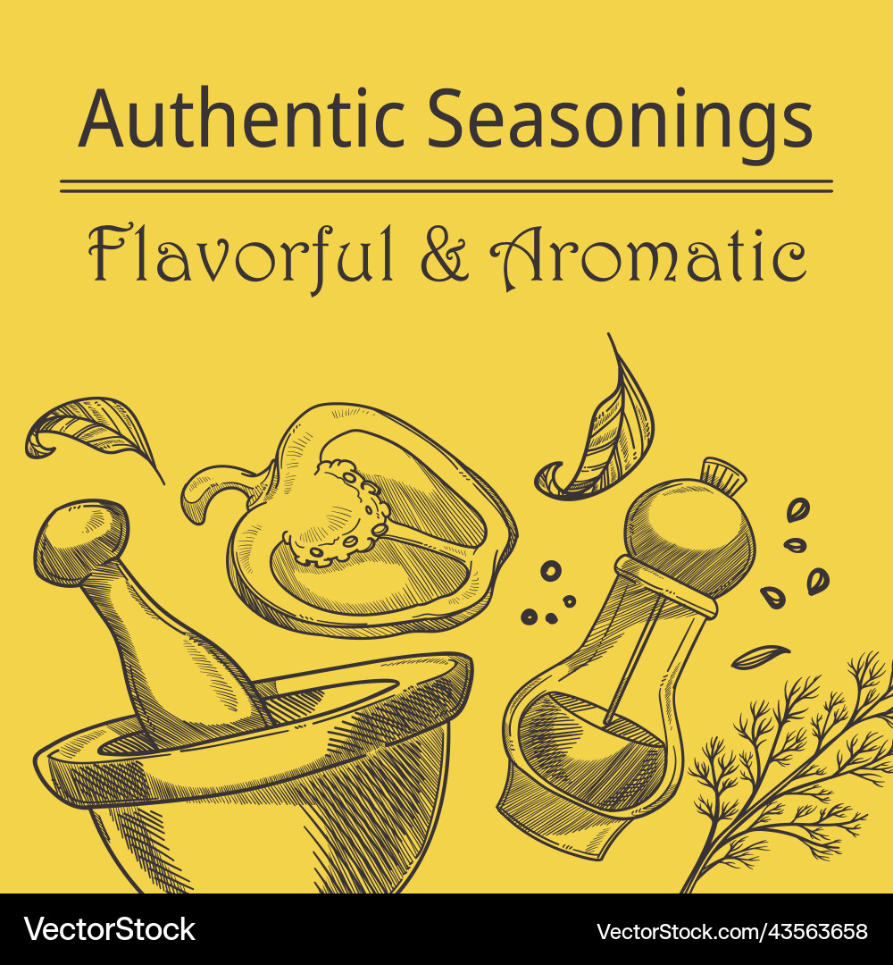 Authentic seasoning flavorful and aromatic blend Vector Image