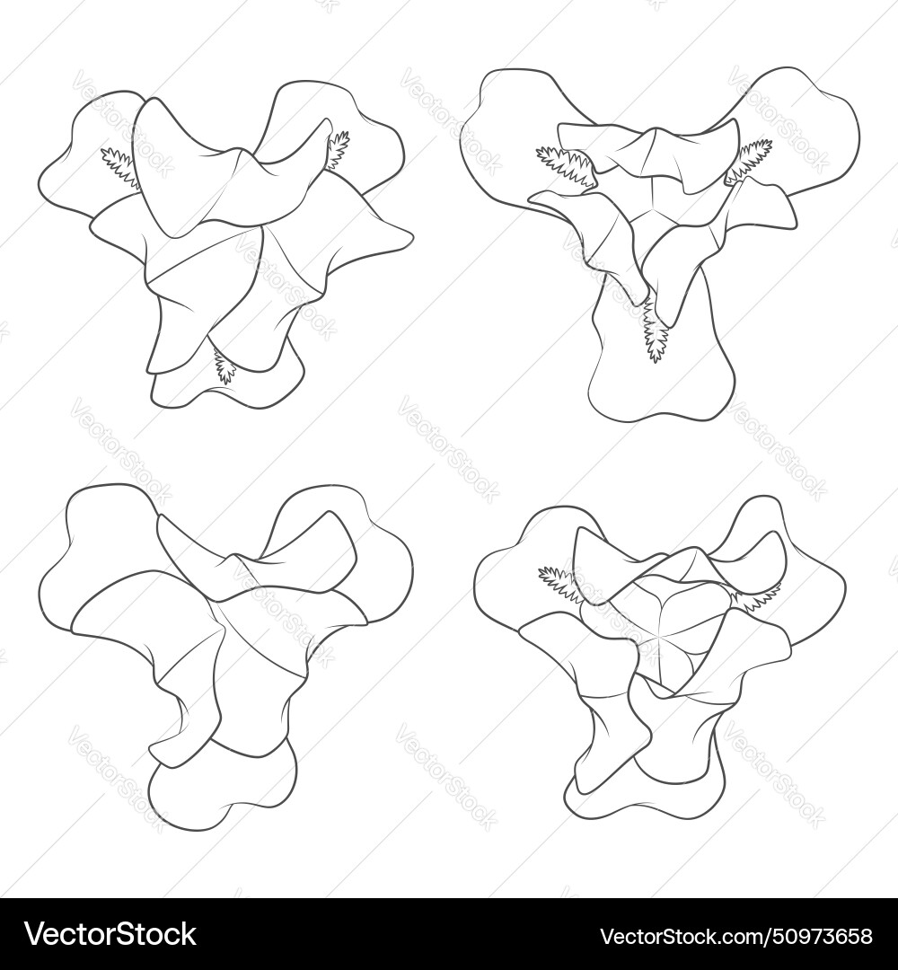 Set with iris flowers Royalty Free Vector Image