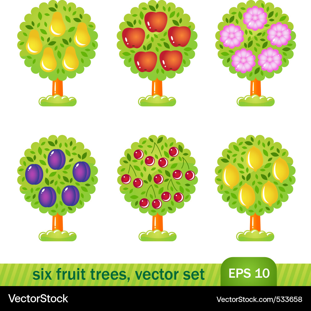 Six Fruit Tree Collection Royalty Free Vector Image