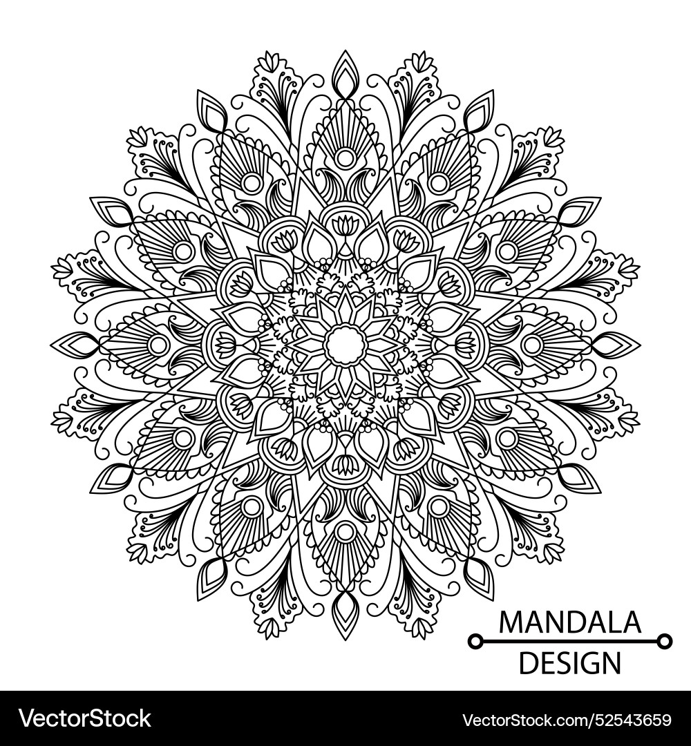 Abstract flower mandala design colouring book Vector Image