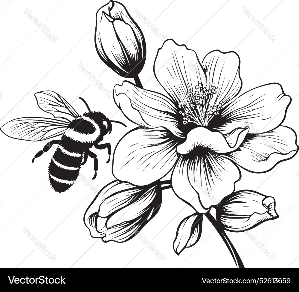 Blossom buzz black icon with flower petal Vector Image