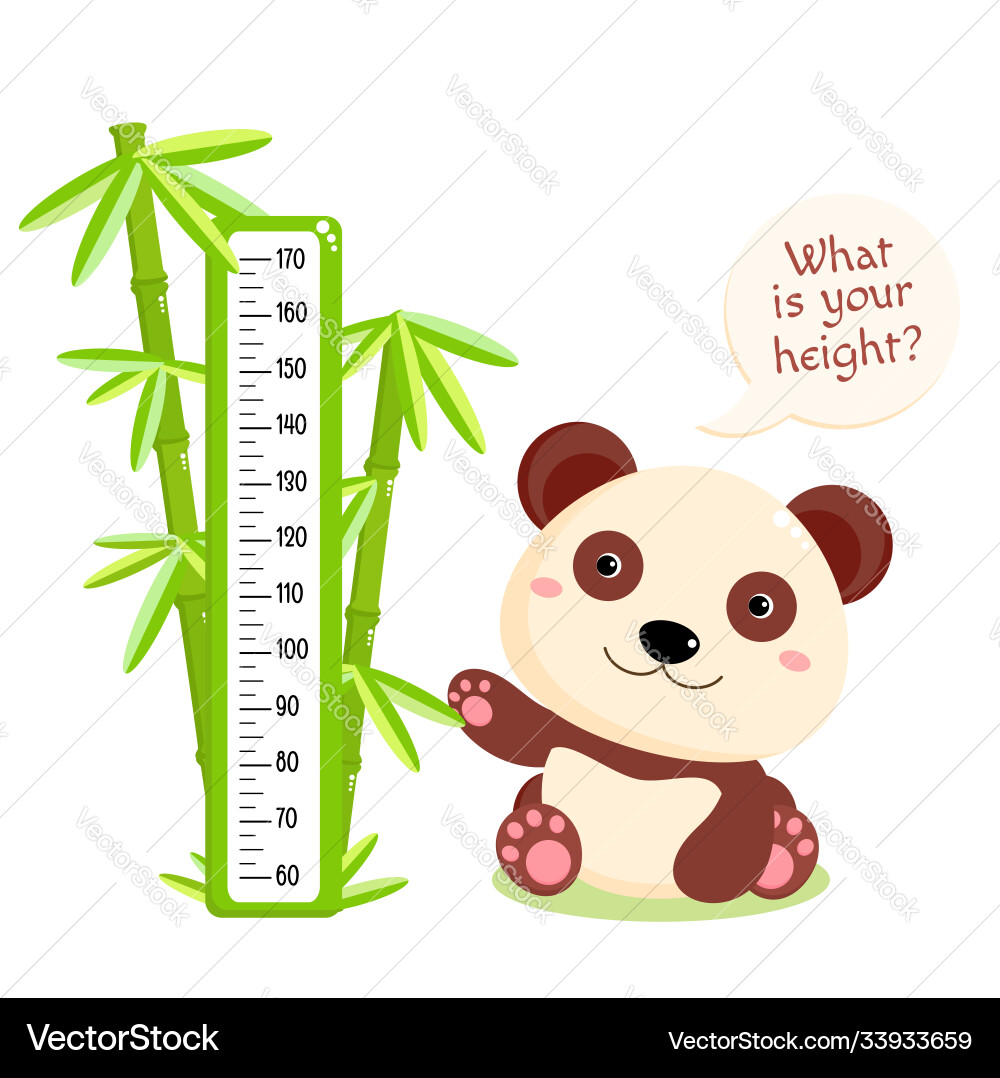 Cute Panda Height Chart Royalty Free Vector Image