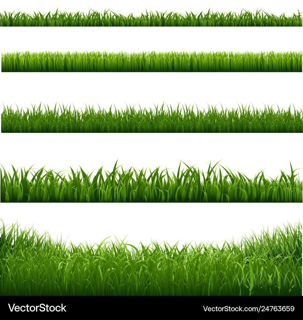Grass frame borders Royalty Free Vector Image - VectorStock
