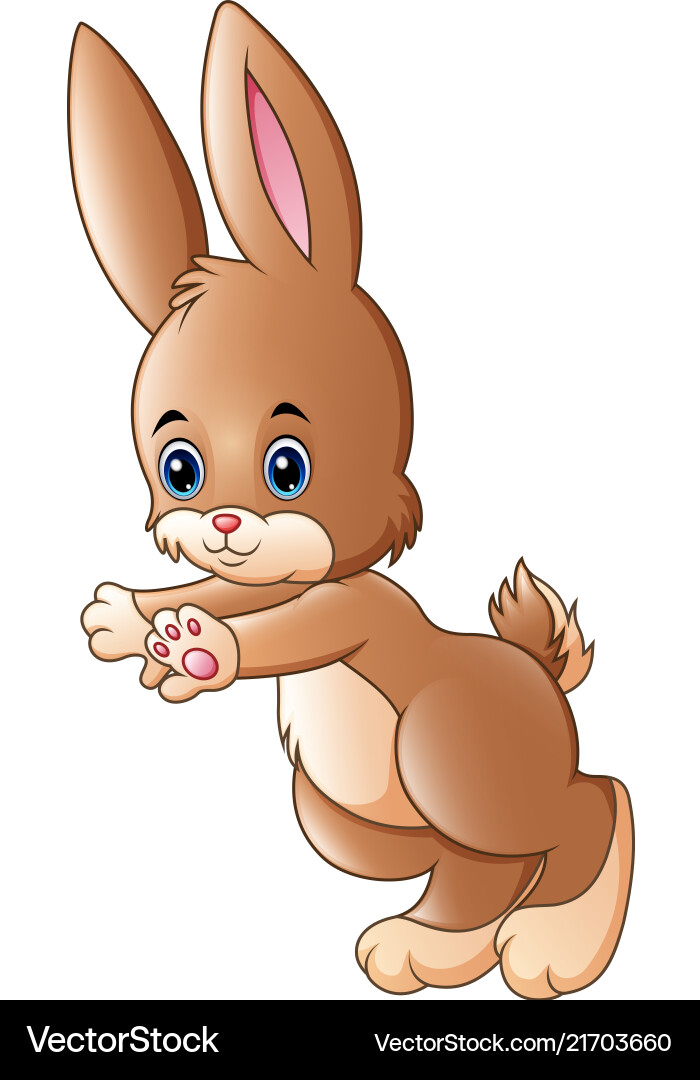 Cute little rabbit cartoon isolated on white backg