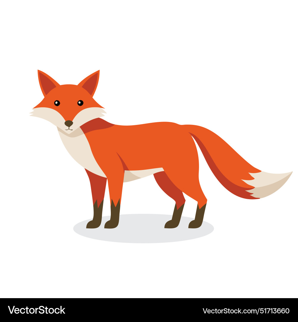Fox animal isolated flat on white background Vector Image