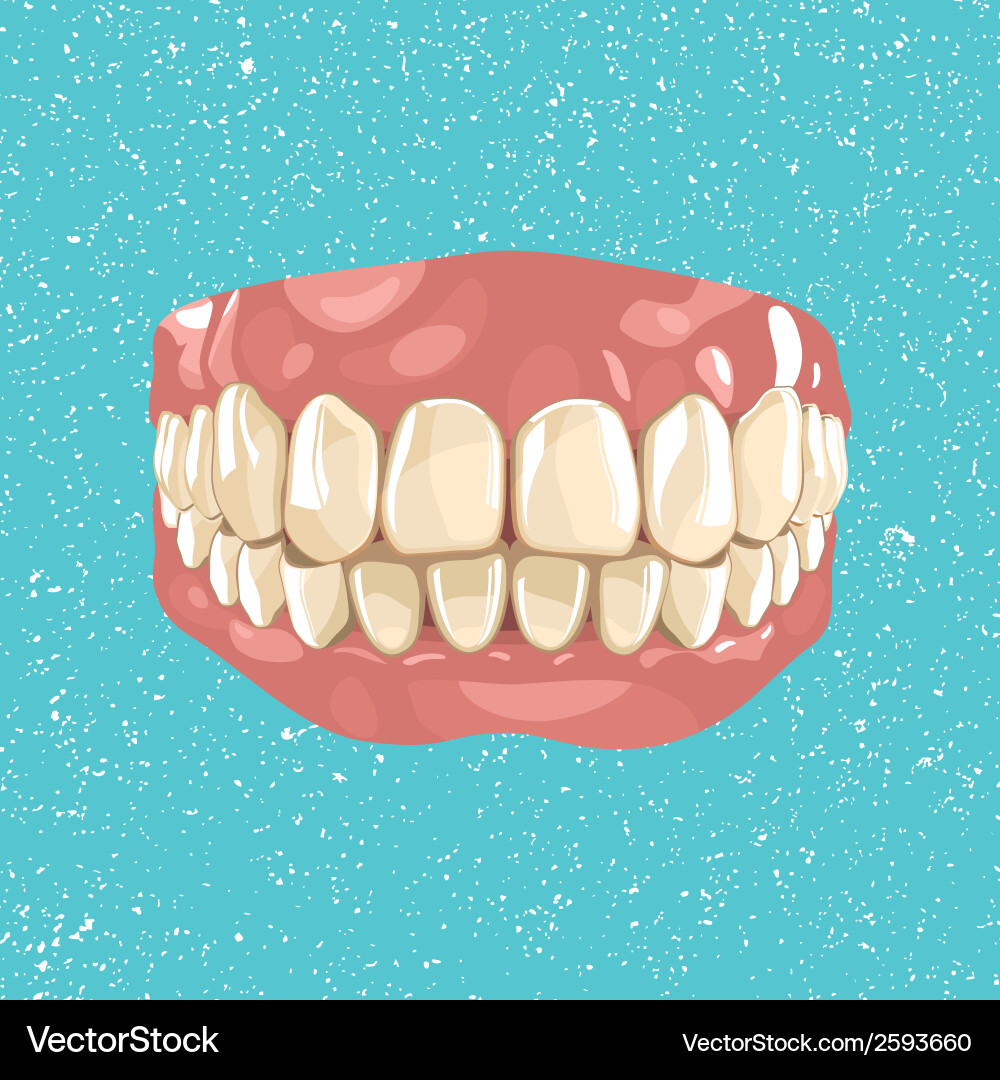 Teeth Royalty Free Vector Image - VectorStock