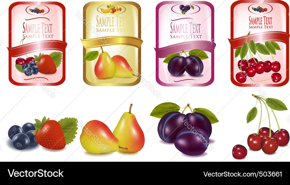 Fruit labels Royalty Free Vector Image - VectorStock