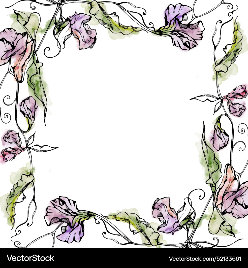 Hand drawn watercolor ink botanical flowers Vector Image