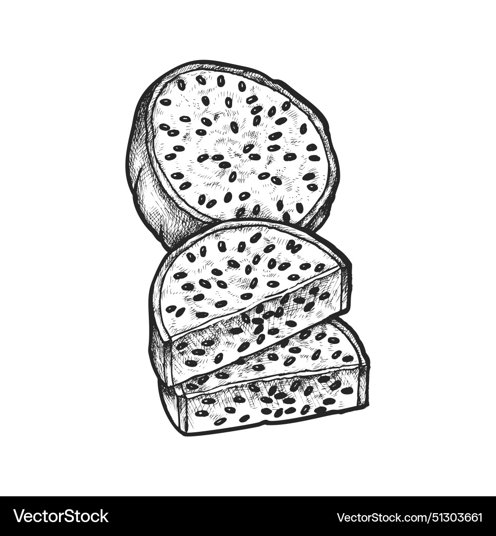 Pitaya fruit piece sketch of pitahaya Royalty Free Vector