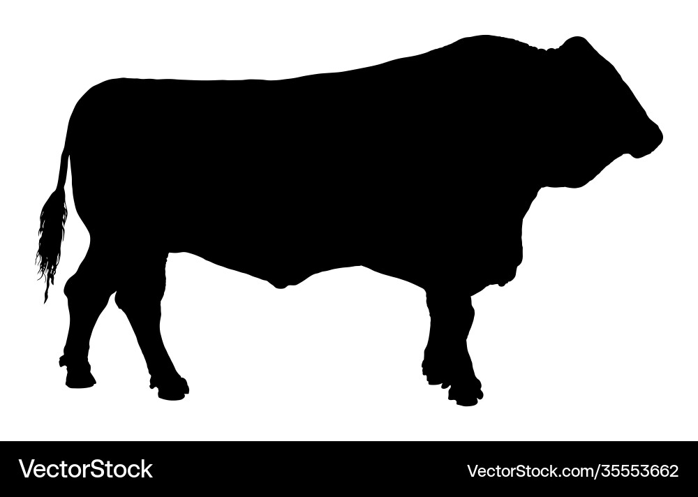 Standing Bull Silhouette Royalty Free Vector Image