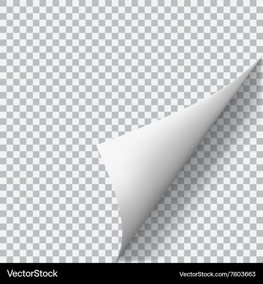 Curled corner of paper Royalty Free Vector Image