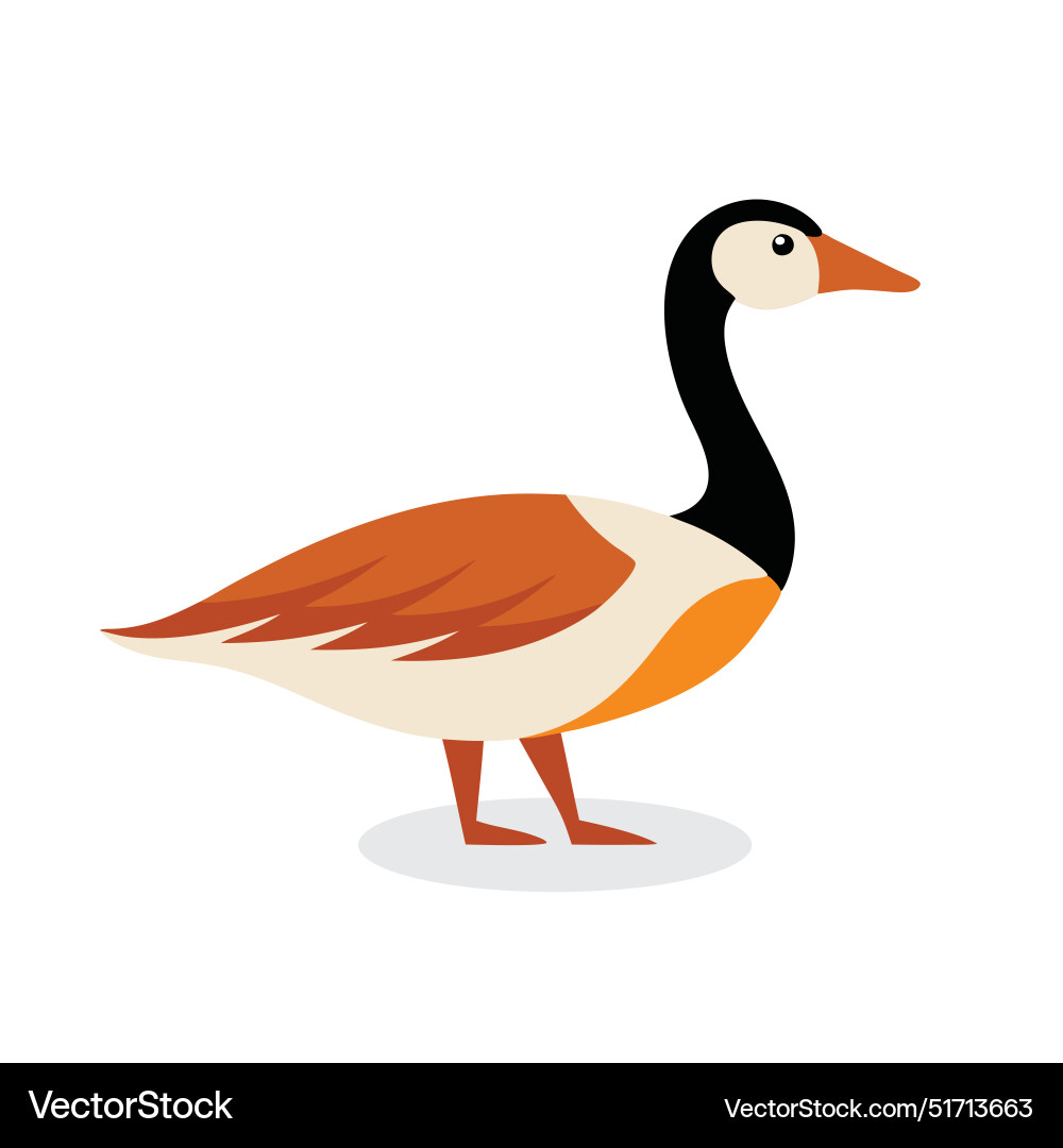 Goose animal isolated flat on white background Vector Image