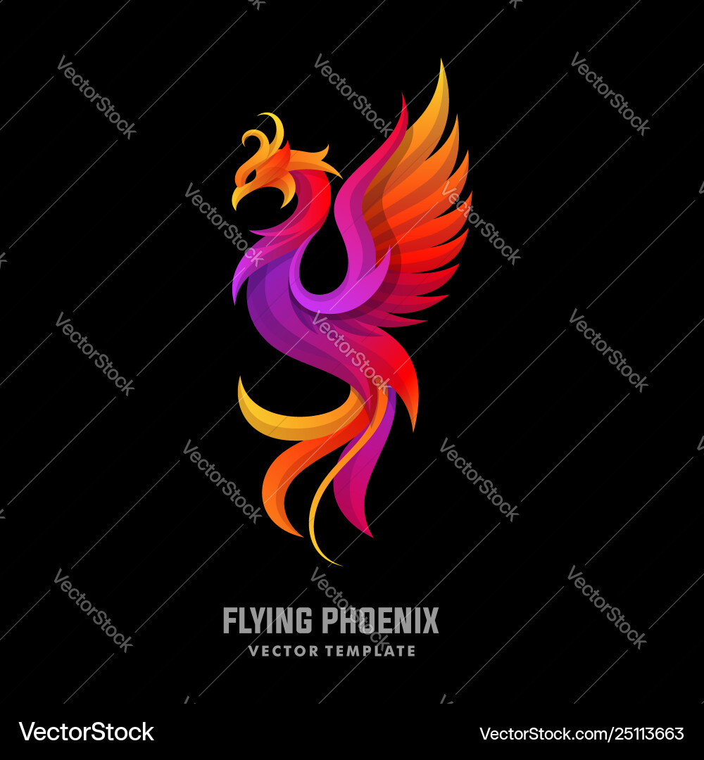 Phoenix concept designs template Royalty Free Vector Image