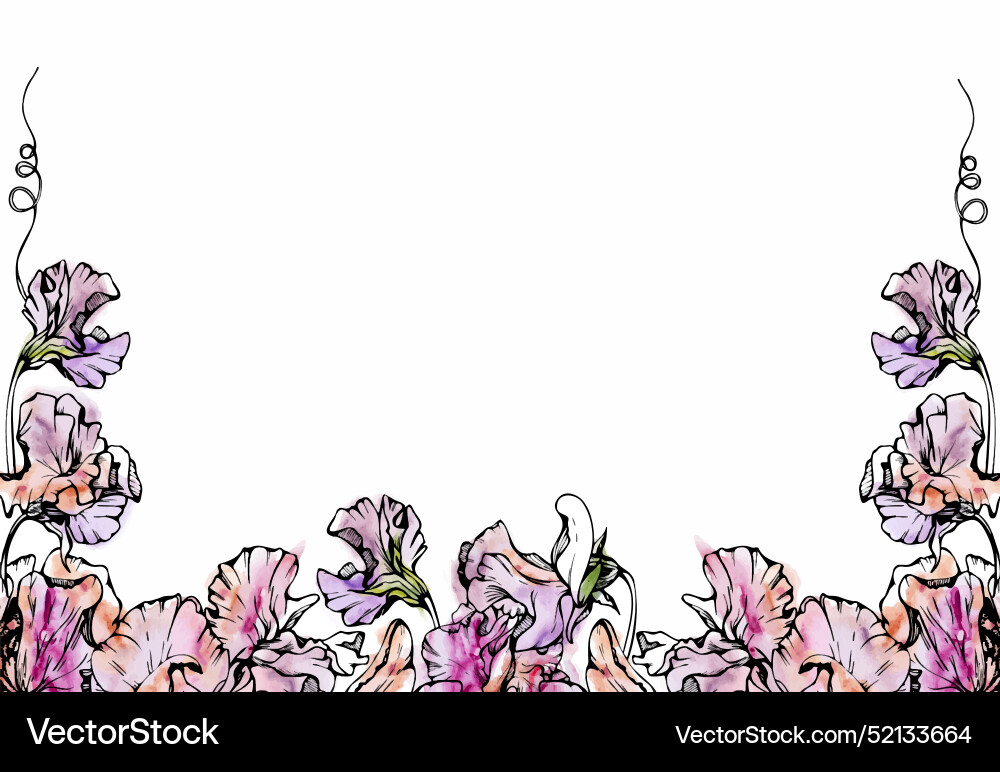 Hand drawn watercolor ink botanical flowers Vector Image