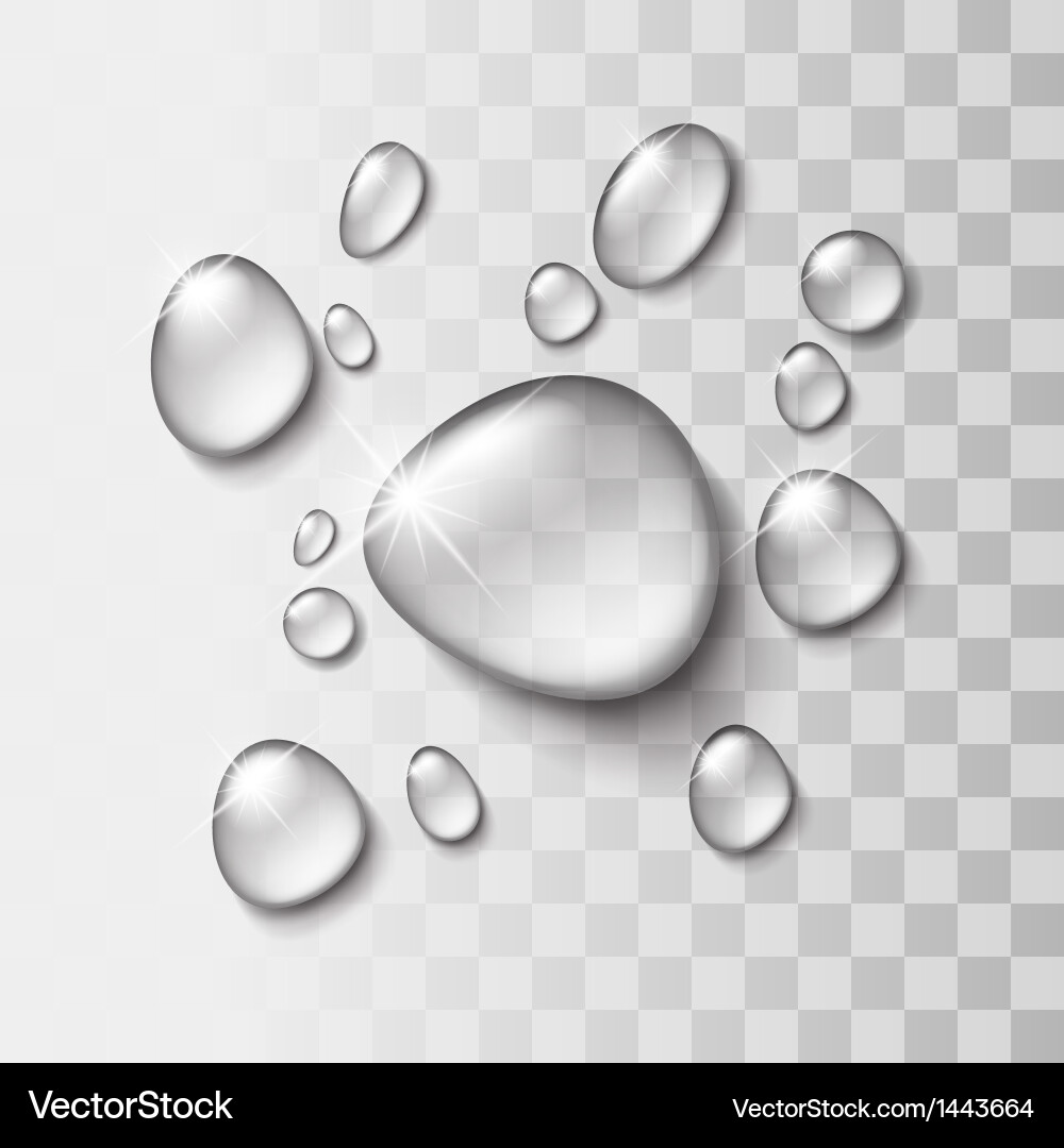 Transparent water drop Royalty Free Vector Image