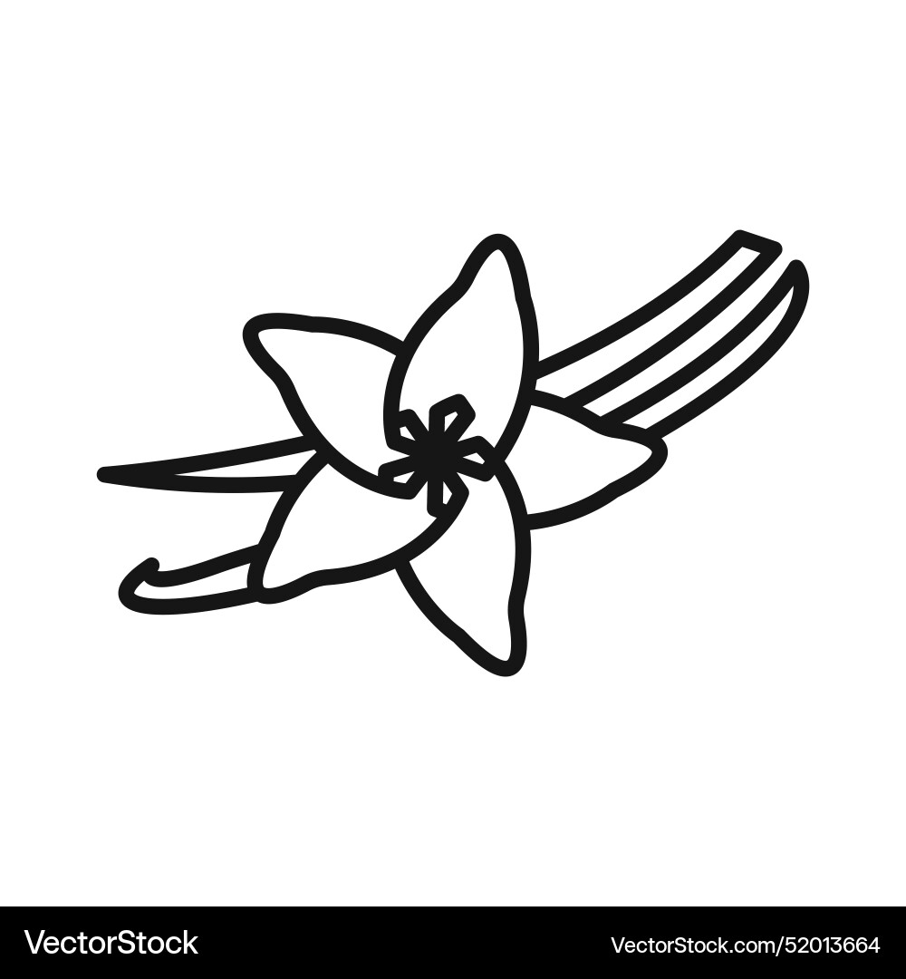 Vanilla icon black line art Royalty Free Vector Image