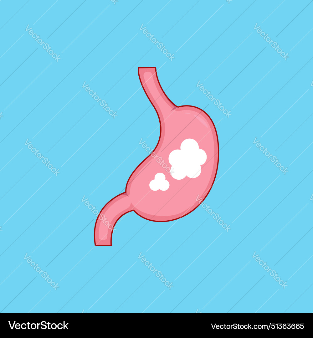 Experiment Your Stomach Gas