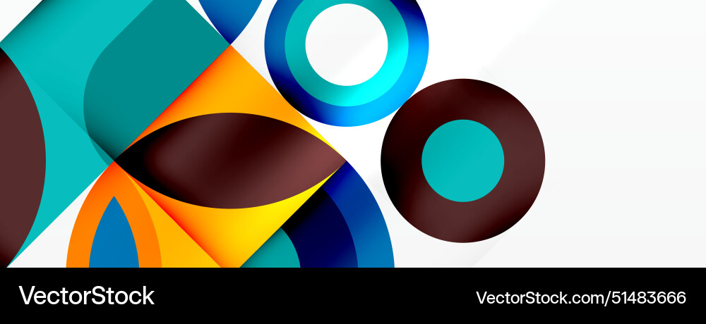 Circles and petals geometric beautiful abstract Vector Image