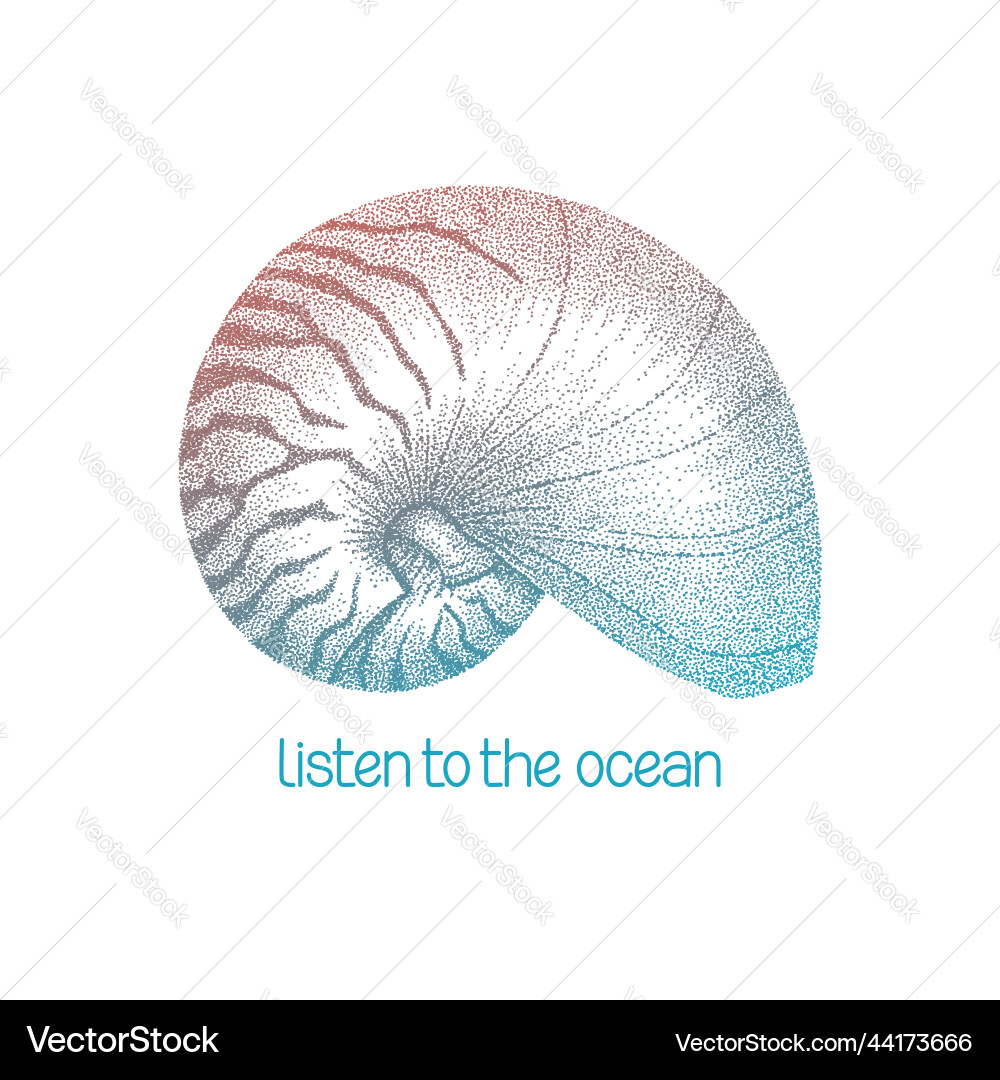 Nautilus shell Royalty Free Vector Image - VectorStock
