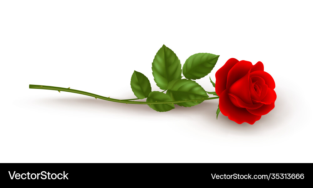 Single Vector Images (over 740,000)