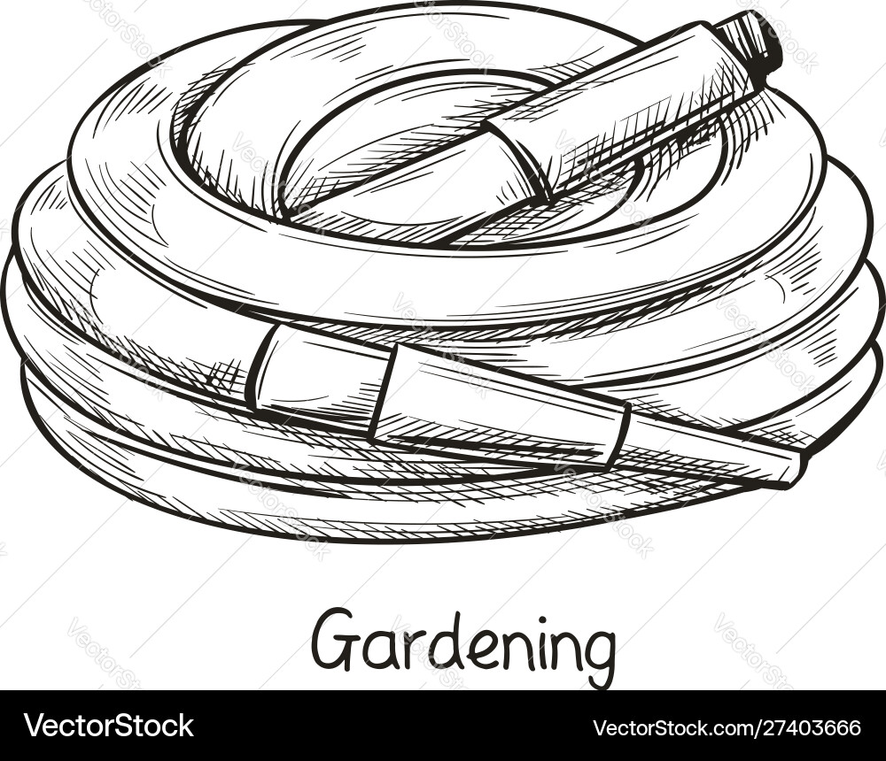 Watering hose in sketch style Royalty Free Vector Image