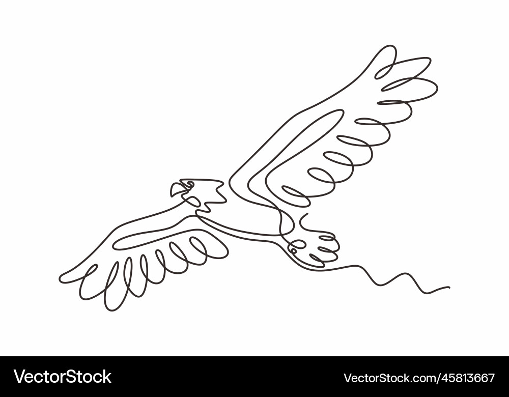 Continuous one line drawing of eagle or hawk bird Vector Image