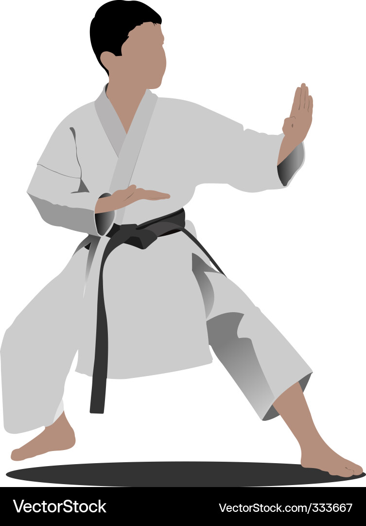 Karate Royalty Free Vector Image - VectorStock