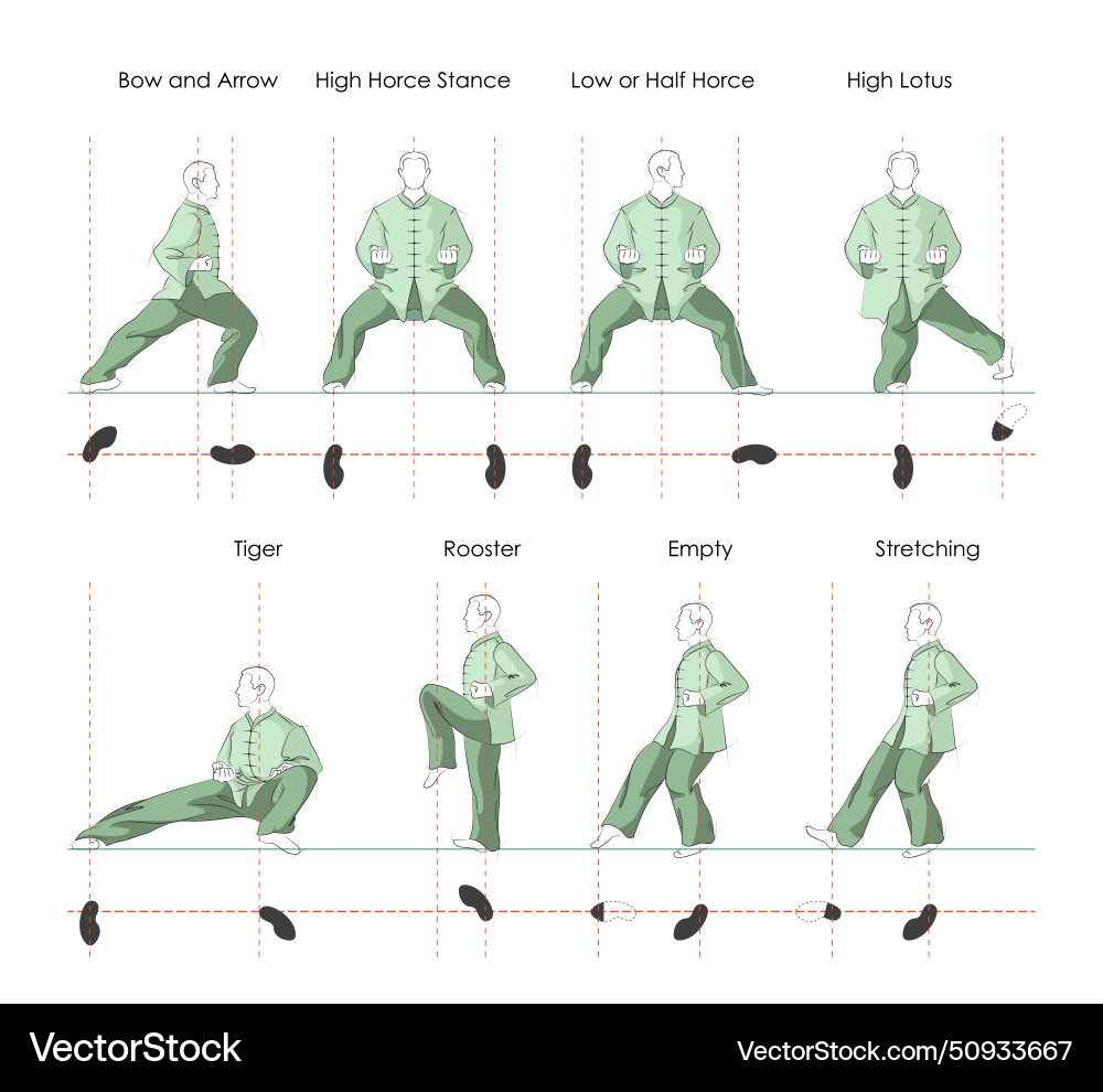 Tai chi stances 8 basic Royalty Free Vector Image