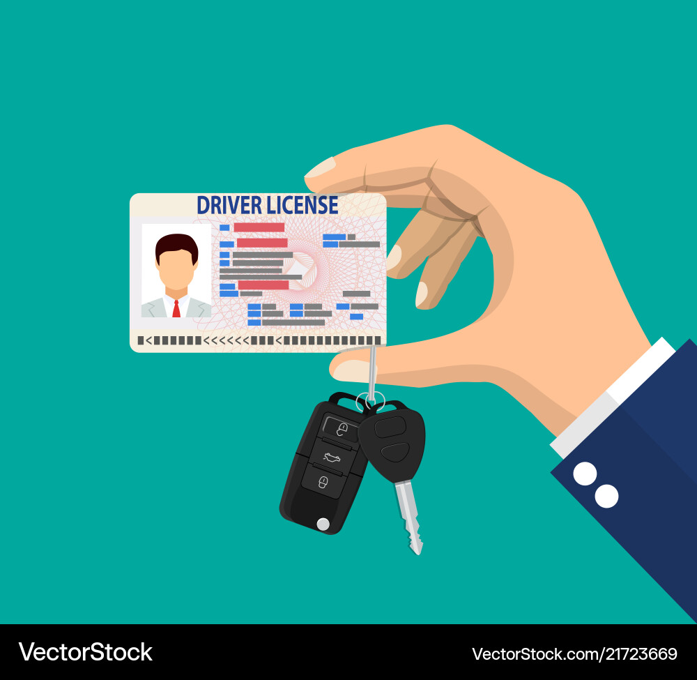 Car driver man license identification card Vector Image