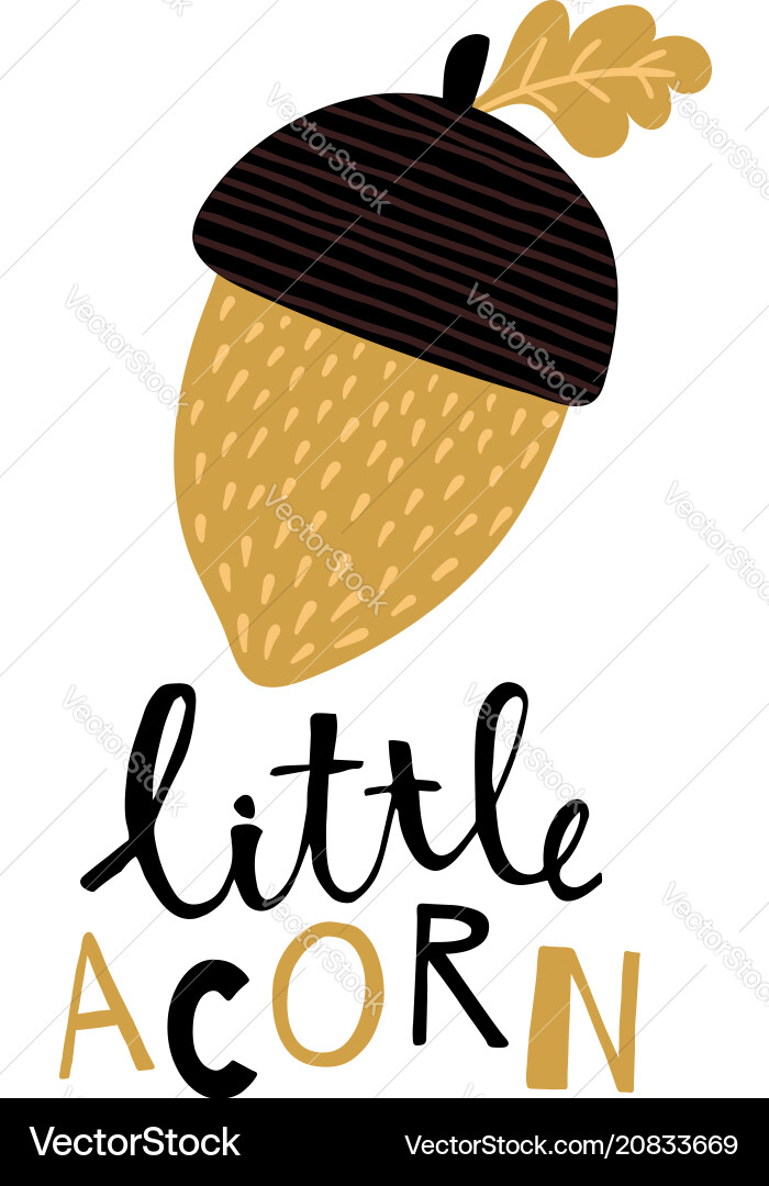 Cute Acorn & Lettering – Royalty-Free Vector | VectorStock