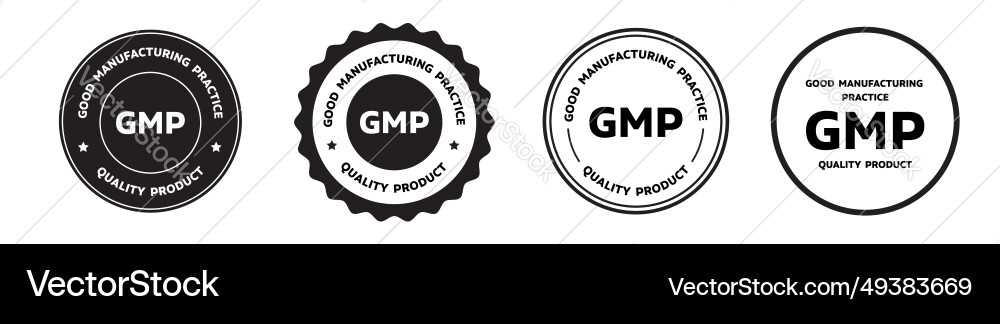 Gmp or good manufacturing practice quality Vector Image