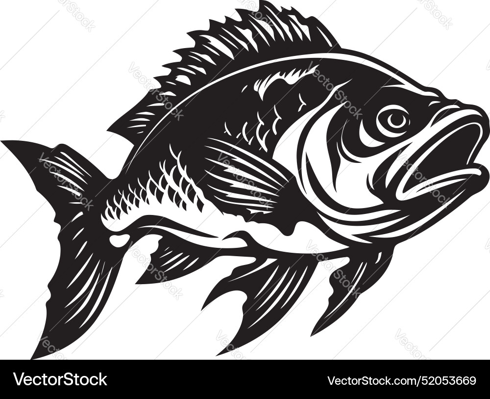 Tropical transcendence designs of fish oasis Vector Image