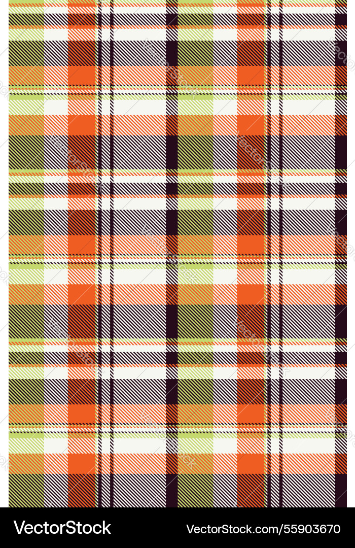 Curved plaid tartan check picnic blanket Vector Image